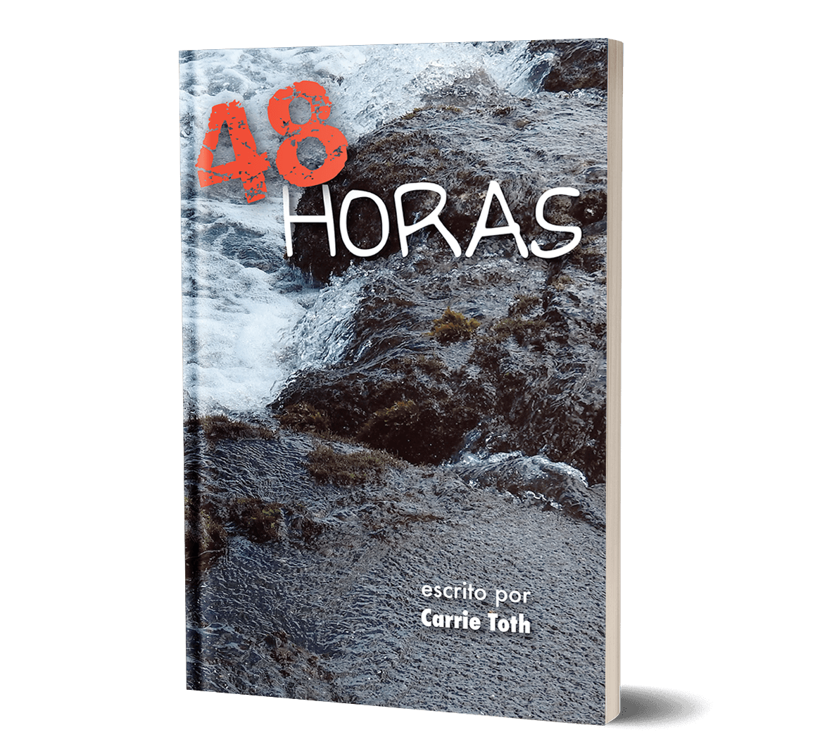 48 Horas - Wayside Publishing