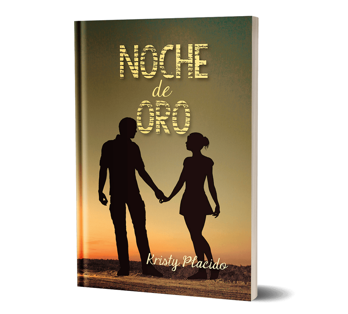 Noche de oro - Wayside Publishing