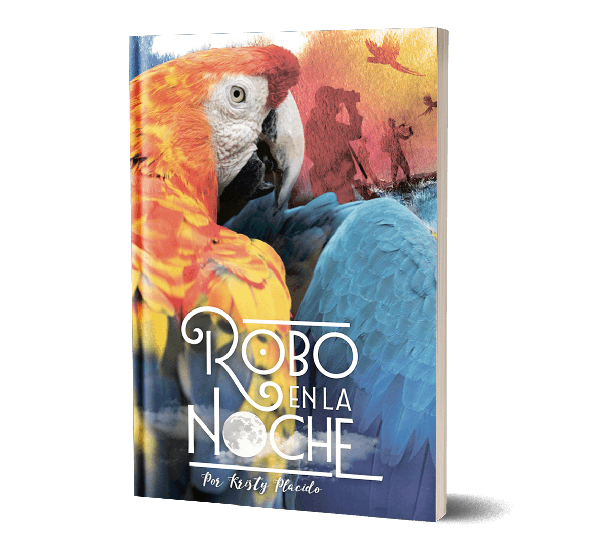 Robo en la noche - Wayside Publishing