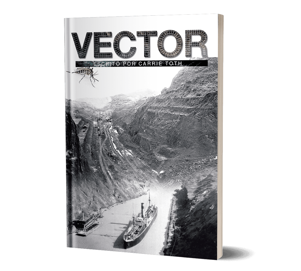 Vector - Wayside Publishing