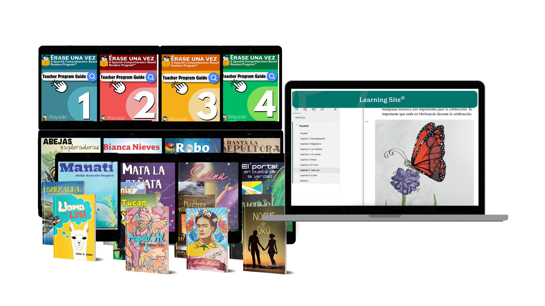 Érase una vez, Level 3 - Wayside Publishing